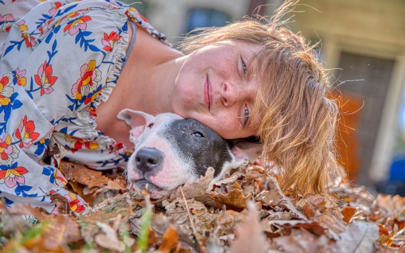Are Bull Terriers Loyal? | Bull Terrier World