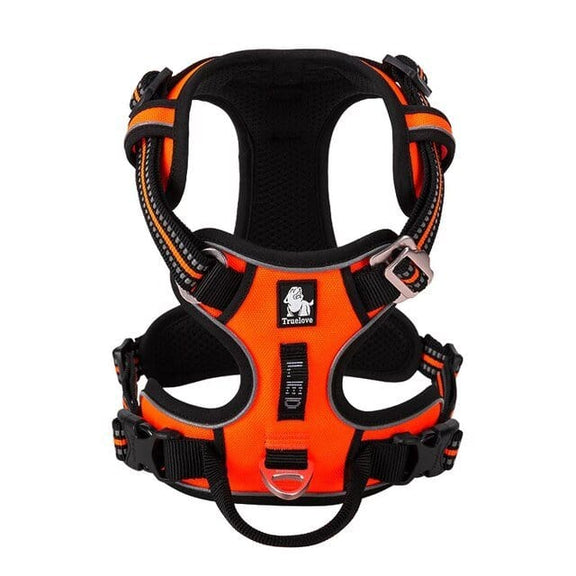 3M No-Pull Vest Bull Terrier Harness | Bull Terrier World